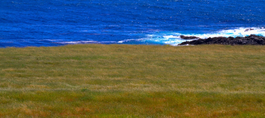 On David Whyte | Devon Michael