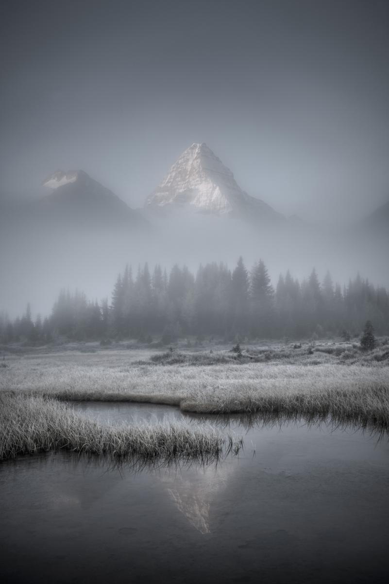 Adam Gibbs Nature Photography | Devon Michael